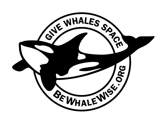 Whale Warning Flag | SJC MRC