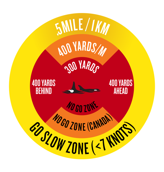 Whale Warning Flag | SJC MRC