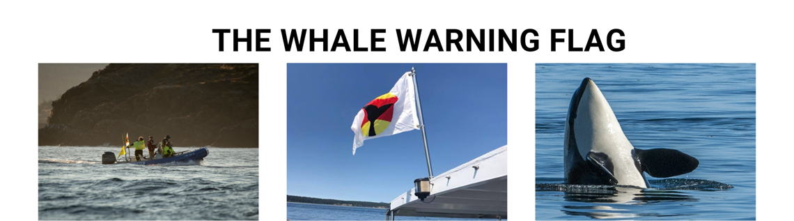 Whale Warning Flag | SJC MRC